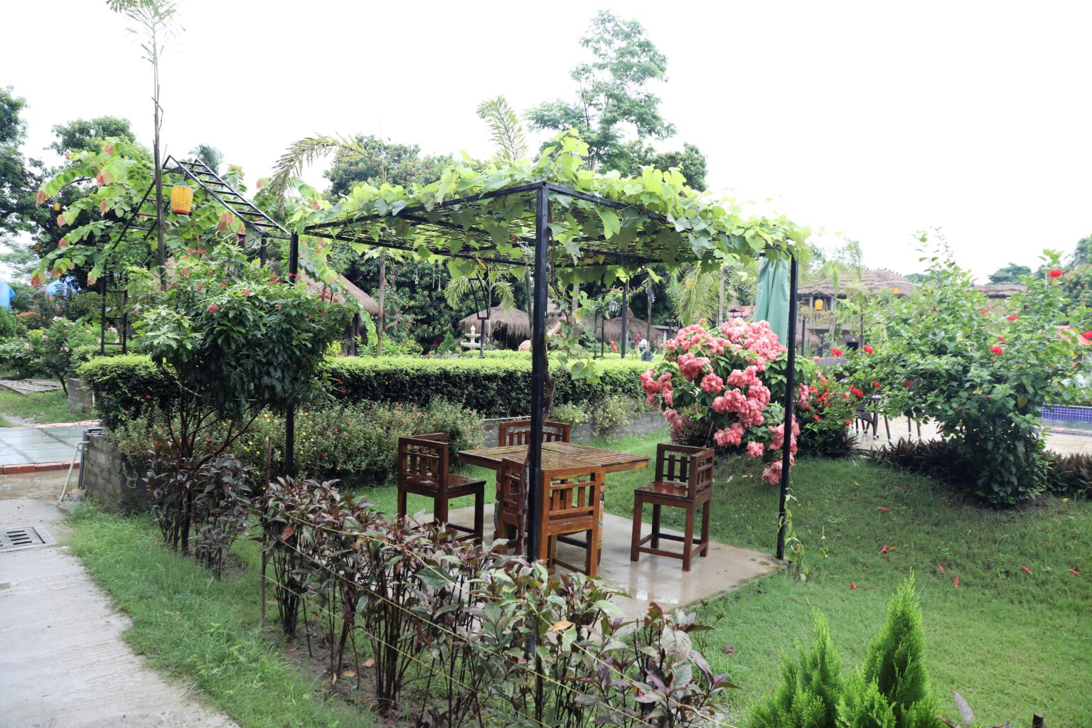 About Us - BANABITHI RESORT